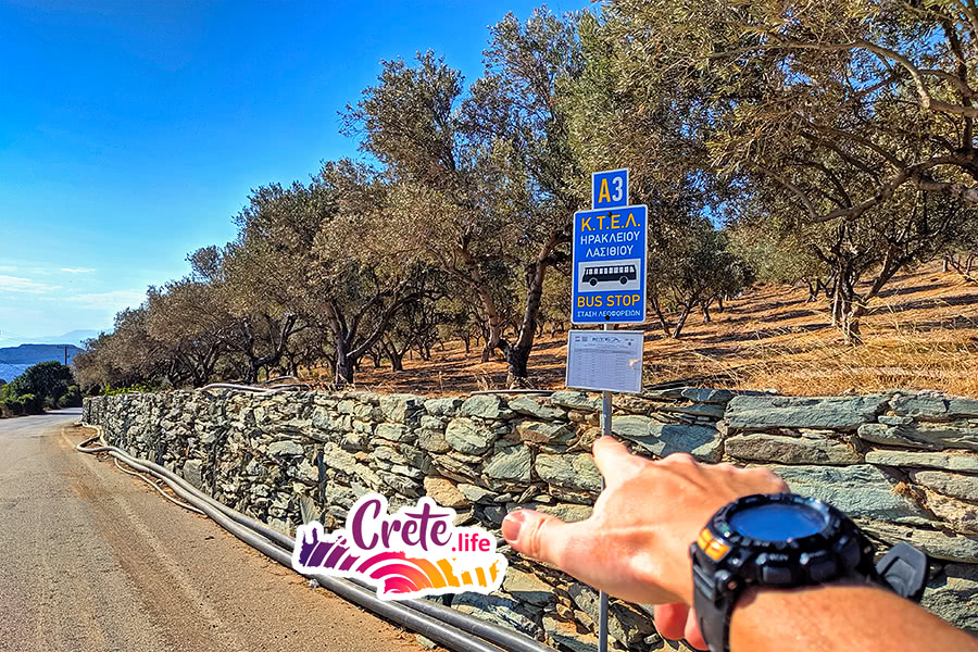 Public buses in Agia Pelagia in 2025: routes, timetable, ticket prices ...